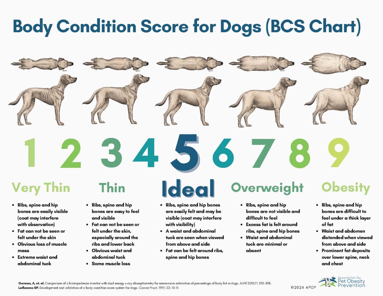 Is My Dog Fat? A Veterinarian Explains How To Tell At Home | Mermaid ...